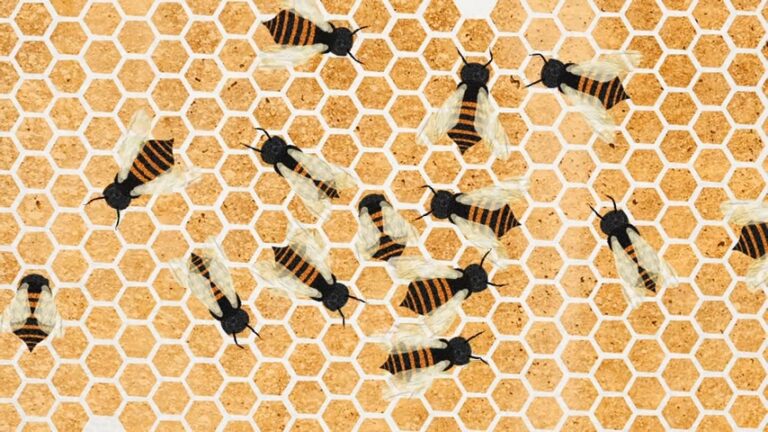 Why Is the Triangle the Strongest Shape - How This Shape Dominates ...